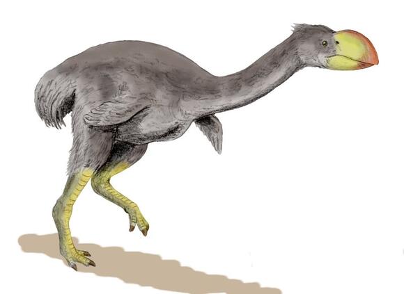8 Giant Prehistoric Birds That Ruled the Skies - NewsBreak