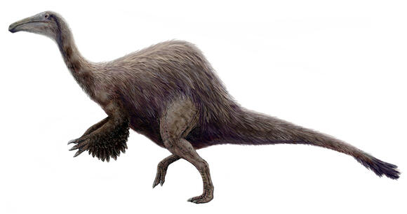 7 Dinosaurs Weirder Than the T.Rex - NewsBreak