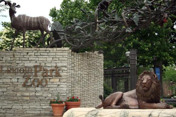 15 U.S. Zoos to Visit for World Parrot Day - NewsBreak