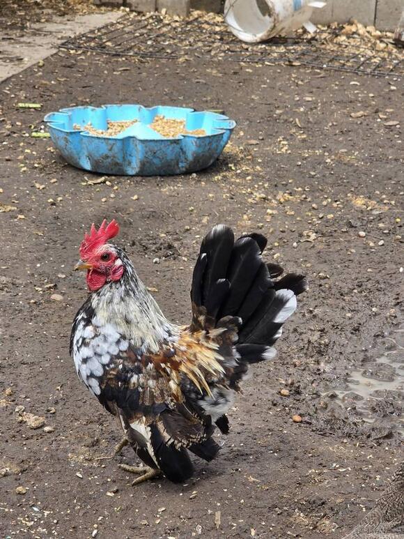 🎁 Freebies Up for Grabs in Pawtucket Right Now - NewsBreak