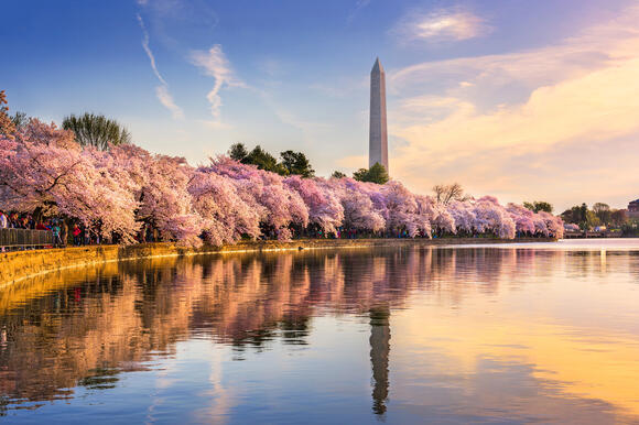 Affordable Urban Walking Tours In Major US Cities - NewsBreak