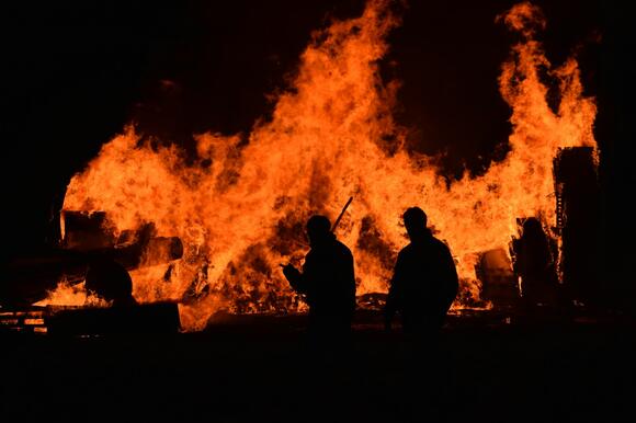 Fireproof Flora: How Some Plants & Trees Need Flames to Reproduce ...