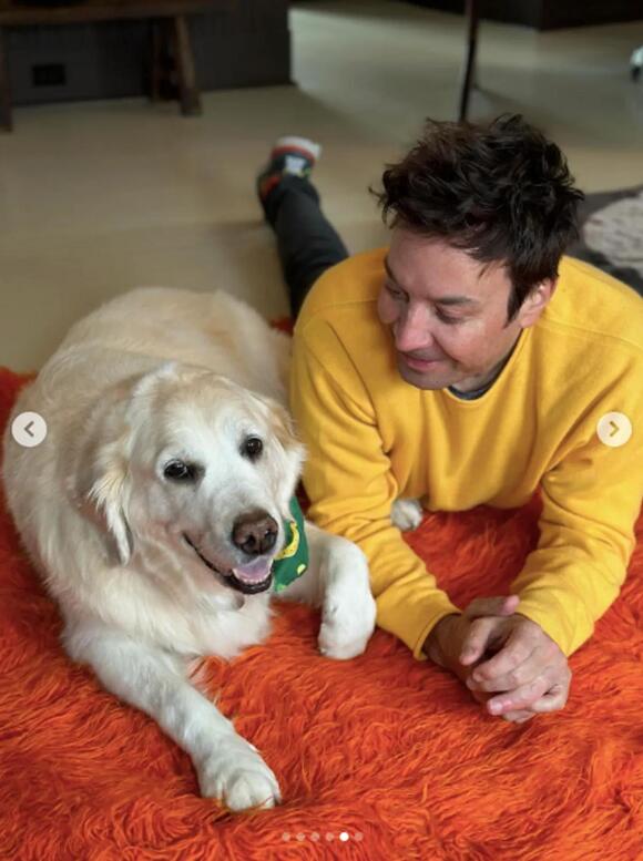 Jimmy Fallon Announces Death of His Family's 'First Baby' - NewsBreak