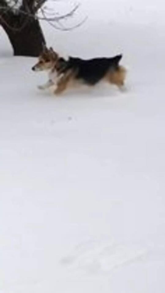 Does Shreveport Have a History of Ice Storms? A Look Back at the ...