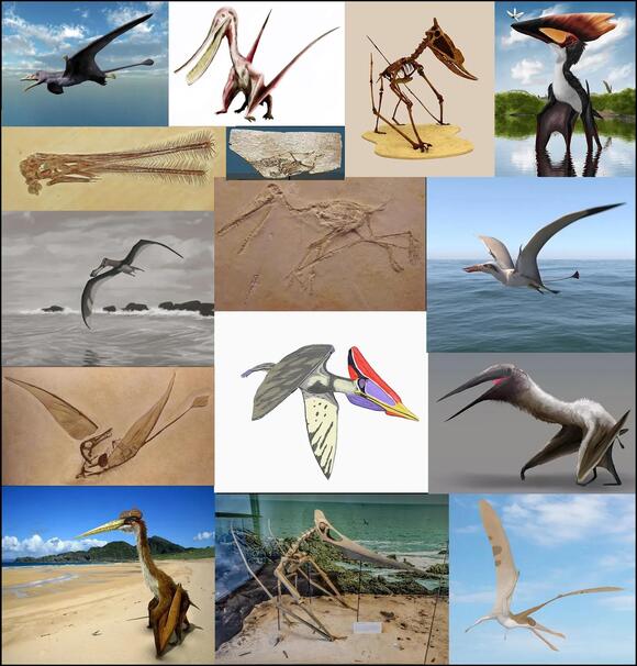 The True Reason Why Pterosaurs Ruled the Skies for Millions of Years ...