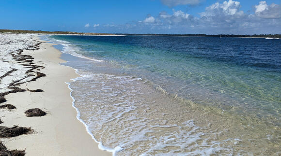 Spectacular Beach Camping Spots Hiding in the U.S. - NewsBreak