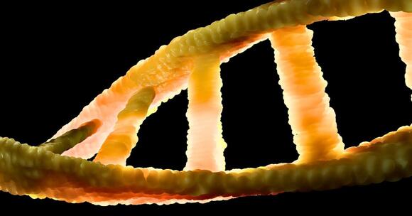 Ancient DNA uncovers bizarre lineage in Argentina that lived for 8,500 ...