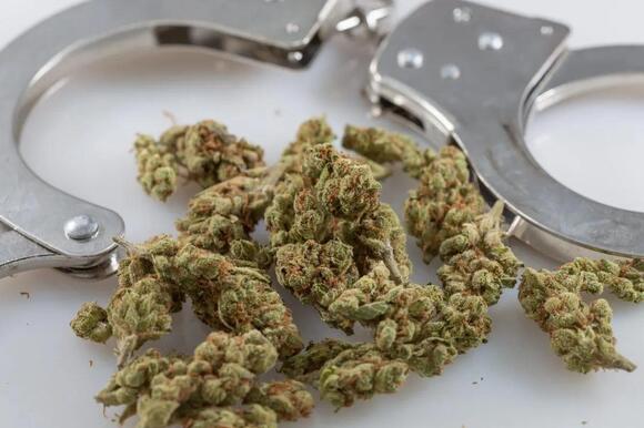 FBI Data Shows Marijuana Possession Arrests Make Up Over 20% of All ...