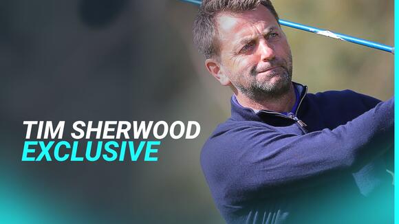 Exclusive: Tim Sherwood drops Spurs ‘carnage’ warning in verdict on ...