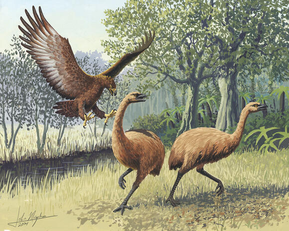 8 Giant Prehistoric Birds That Ruled the Skies - NewsBreak