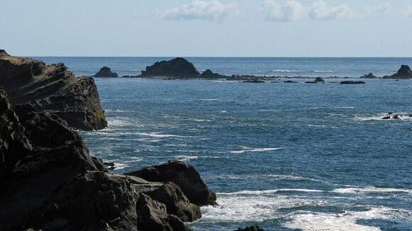 Bizarre Deep-Sea Creatures Found Off the Coast of Oregon - NewsBreak