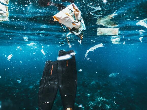 The Ocean’s Midnight Zone: Life in the Planet’s Most Extreme Pressure ...