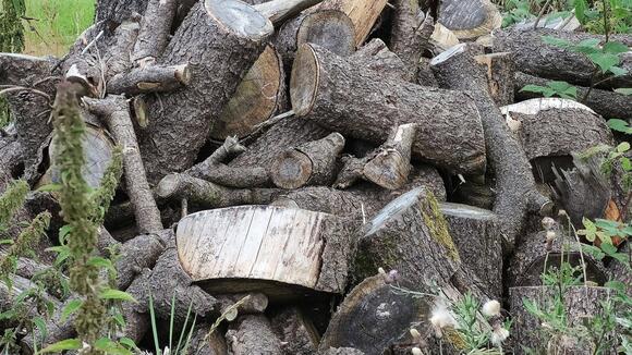 Nez Perce County Announces Free Firewood Event for Residents - NewsBreak