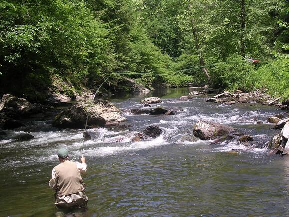 Did Trump cancel MLK Day? Why the holiday may be different in 2026 ...