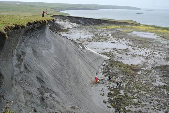 Siberia’s Melting Permafrost Is Releasing Creatures From the Ice Age ...