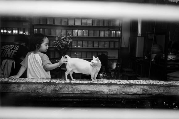 10 Times Cats Choose Connection Over Territory - NewsBreak