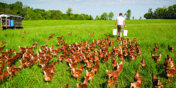 MPT series Maryland Farm & Harvest visits Wicomico County