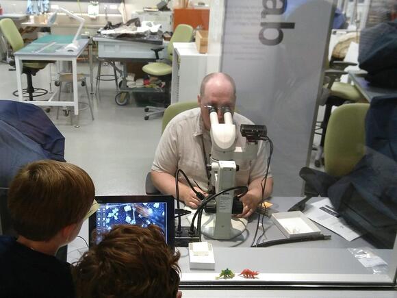 The Secret Life of Fossil Prep Labs: How Mistakes Are Avoided - NewsBreak
