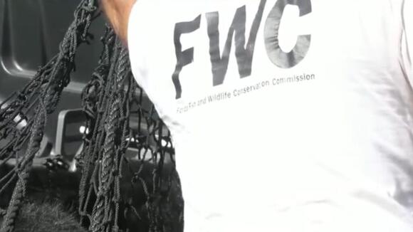 Florida bear hunters accused of taking cash payoffs from activists to ...