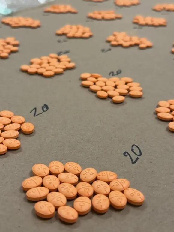 ‘Your Room Is Ready’: 500-Plus Pills And Cocaine Later, Florida Dealer ...
