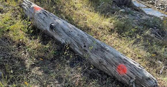 The Chilling Crime Scene Photos Where Gabby Petito Was Brutally ...