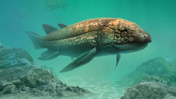 This Fish Can Survive on Land for Months—Here’s How - NewsBreak