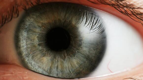 Humans Have A Strange Reflex That No Other Primate Has-And It Might Be ...