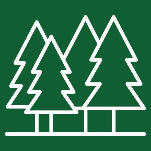 I hunt but I still post my land. Here’s why. - NewsBreak