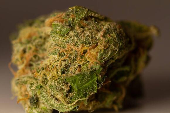 Rhode Island: Marijuana Sales Top $10 Million in December, $123 Million ...