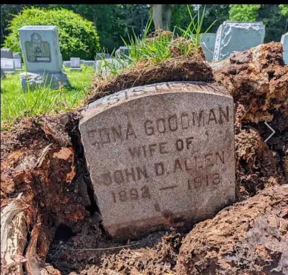 Storm knocks down tree, exposes hidden 100-year-old gravestone - NewsBreak