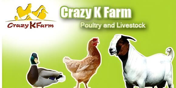 Crazy K Farm Announces Launch of Patented Pet Products Supporting ...