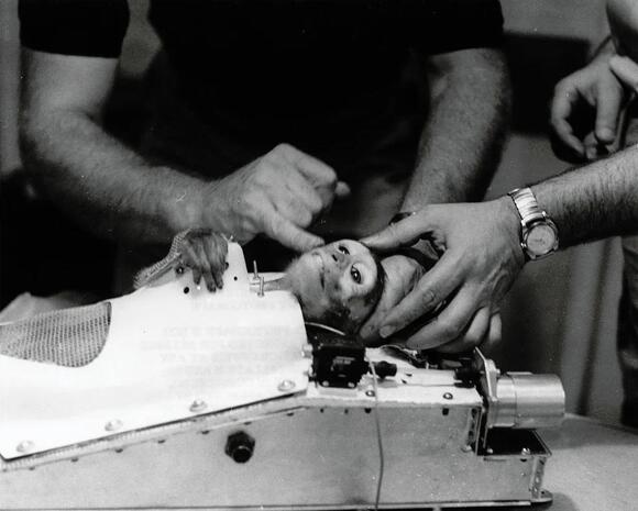 How Albert II Became the First Monkey to Travel to Space and Survive ...