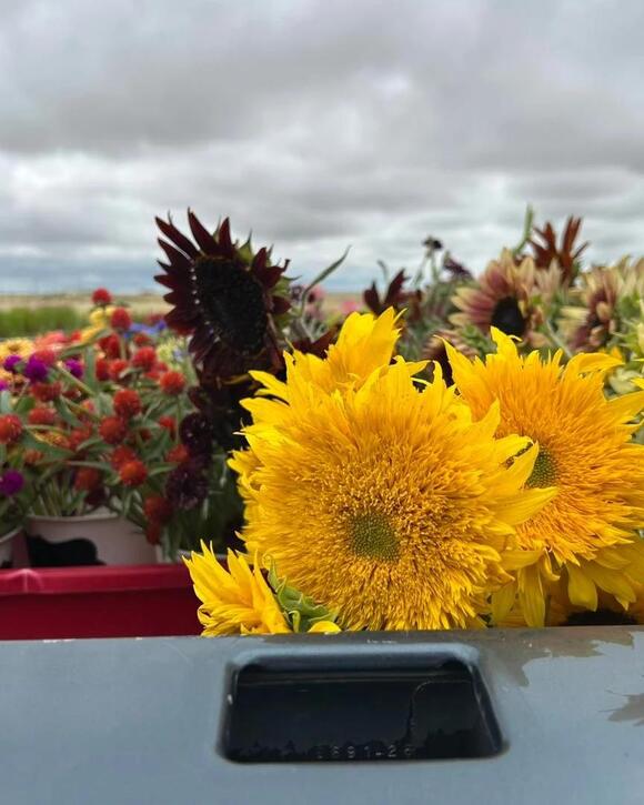 A Canyon Flower Farm Is Opening to the Public and You Need to Know ...