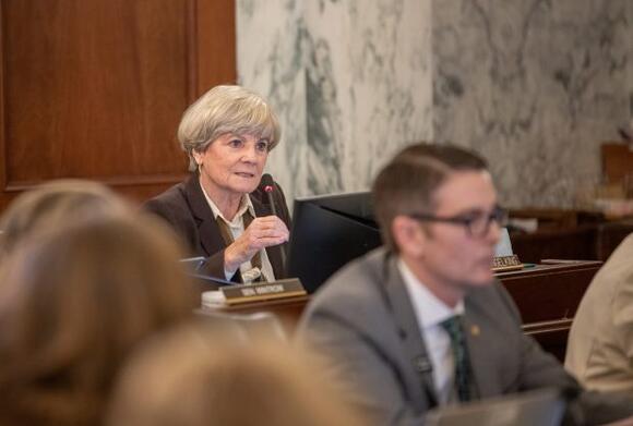 Senate approves higher education budget cuts, sending them to Governor ...