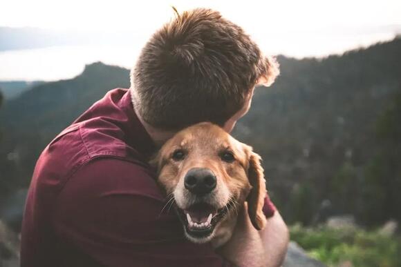 The science behind why a dog “chooses” one person – and stays loyal for ...