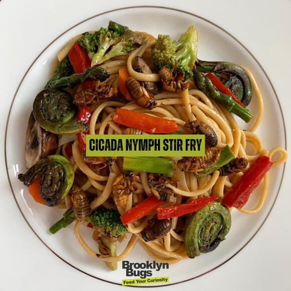 Brooklyn chef promotes eating cicadas as a trillion emerge in US double ...
