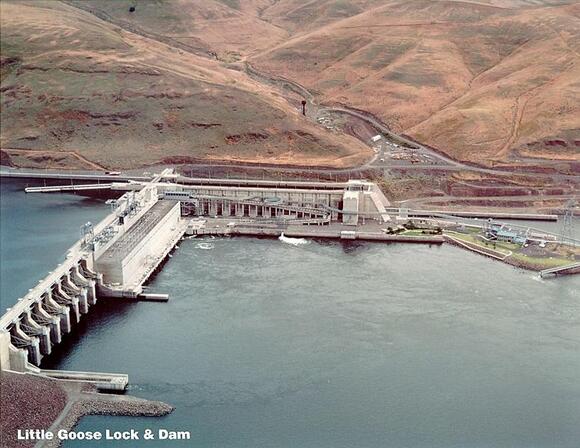 Priest Rapids Dam Mineral Oil Spill Prompts Cleanup - NewsBreak