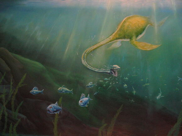 Cretaceous Seas: The Era’s Strangest and Largest Marine Animals - NewsBreak