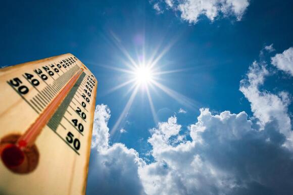 How Sunshields Can Lower Dashboard Temperatures In Hot Weather - NewsBreak