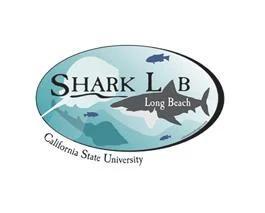 CSU Long Beach Shark Lab study identifies two juvenile white shark ...