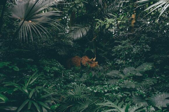 Could Dinosaurs Have Lived Underground During Harsh Climate Shifts ...