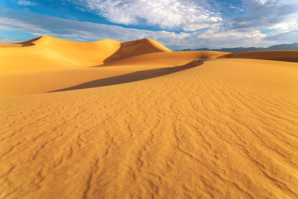 The Hottest Temperature Ever Recorded in the US Desert - NewsBreak