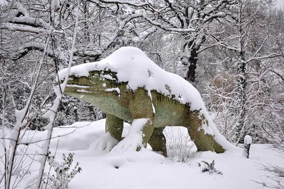 The Chilly Side of Prehistory: Dinosaurs and Snowy Landscapes - NewsBreak