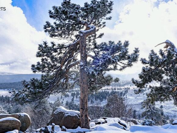 Arctic blast brings light snow, but snowpack still lags far below ...