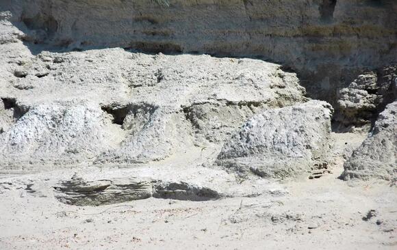 North America’s Ancient Past: 10 Remarkable Fossil Sites to Explore ...