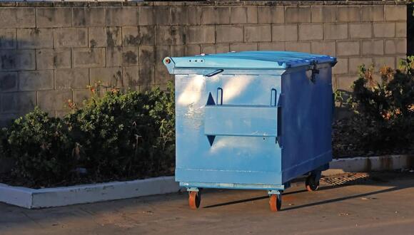 Dumpster diver shares photos after finding 'weirdly shaped items' in ...