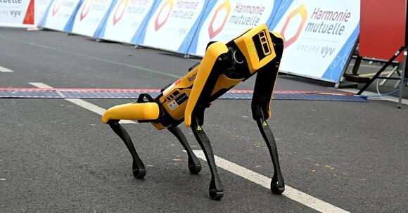 ‘Fuming’ Donald Trump Deploys Robot Dogs and Drones After Mar-a-Lago ...