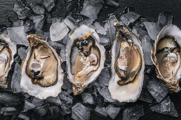 Oyster vs Clam: 7 Main Differences Explained