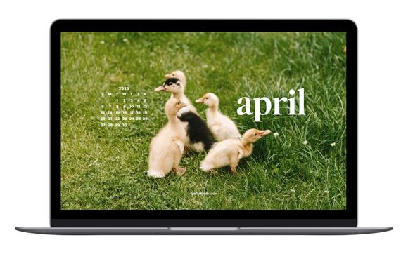 April 2025 Tech Backgrounds: Free, Downloadable Wallpapers! - NewsBreak