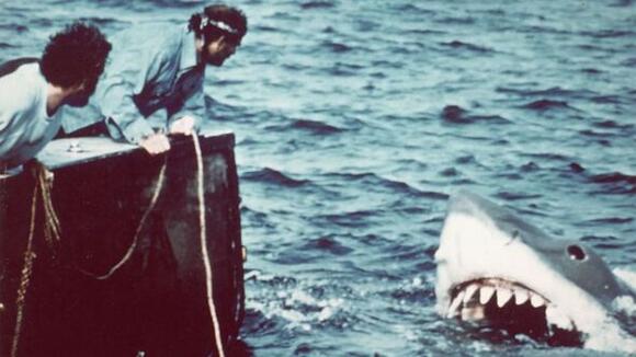 Inside Jaws' various filming blunders before it swam to success - NewsBreak